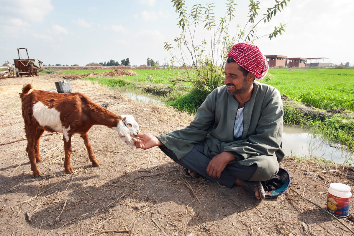 Tackling drought in Jordan, Lebanon and Morocco - IWMI