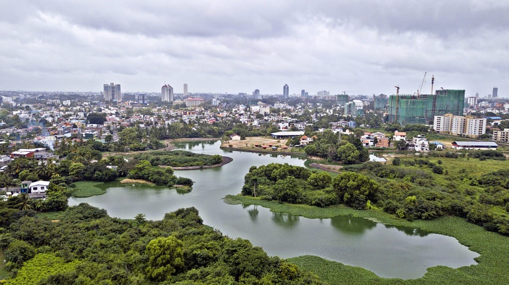 Colombo's wetlands find new defenders in stories, histories and ...