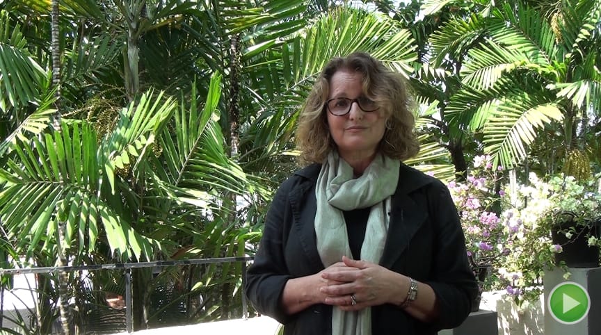 International Women's Day 2020 - IWMI Events