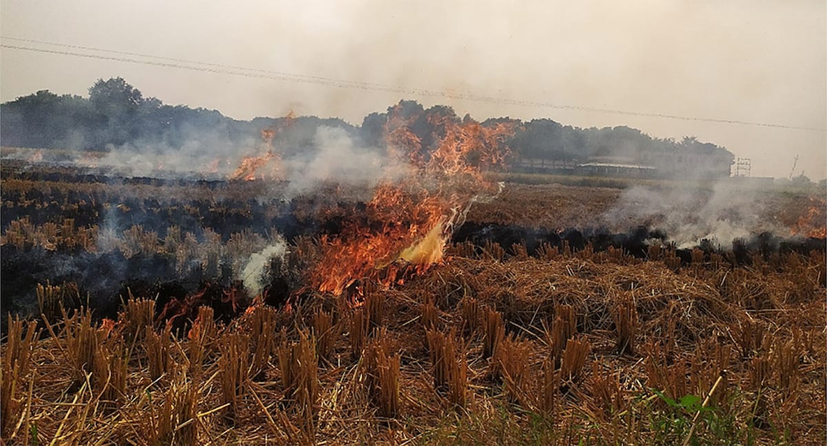 Enhancing Forest Fire Risk Management and Watershed Resilience in ...